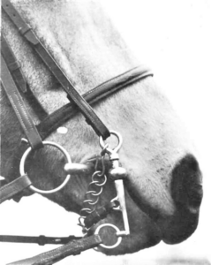 Bridoons and Curb Chains - Equestriguide