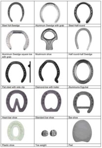 Horse Shoes and Studs: An In-depth Overview - Equestriguide