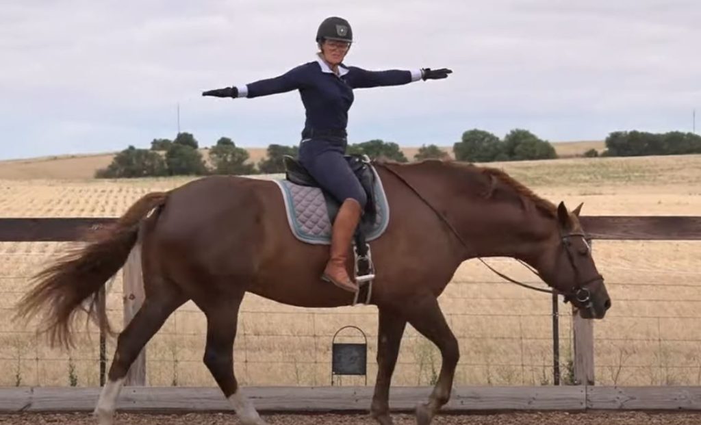 Equestrian Training: Fundamental Exercises - Equestriguide