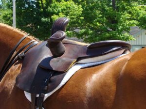 The Side-Saddle - Equestriguide