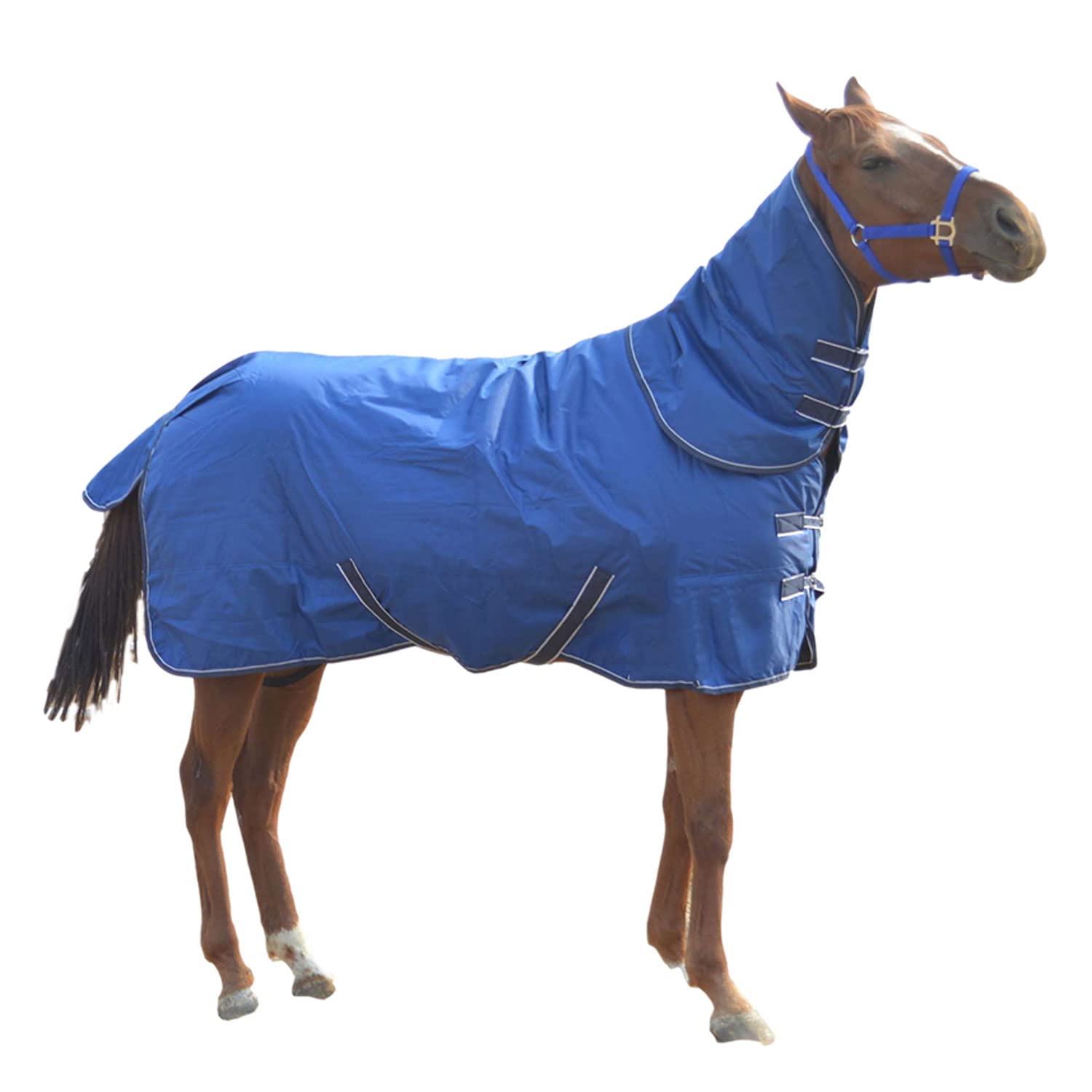 Equestrian Tack: A Guide For First Time Pony Owners - Equestriguide